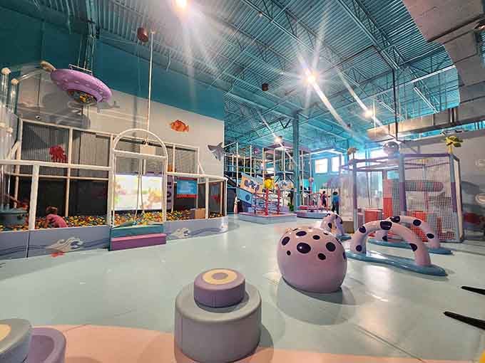 This isn't just a playground, it's an entire ocean ecosystem designed by someone who really gets children.