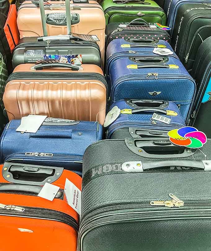 More luggage colors than a rainbow convention, because your suitcase deserves to have as much personality as you do.