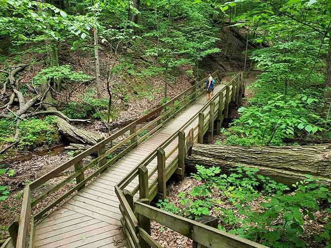 These boardwalks lead you through forests so lush, you'll forget highways and steel mills exist nearby.