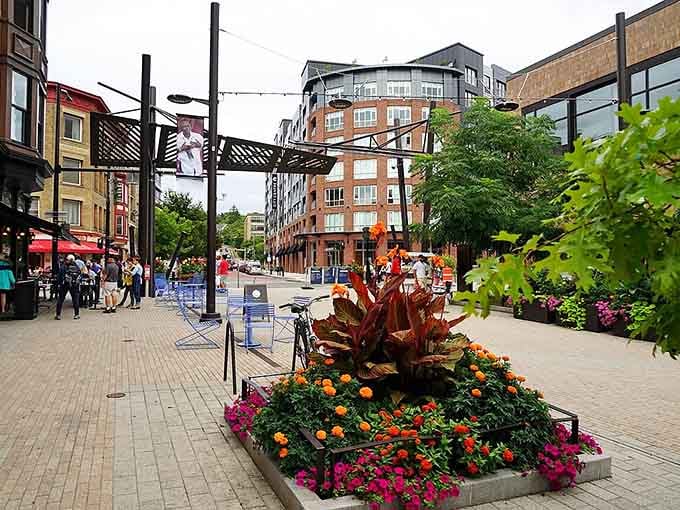 The pedestrian Commons buzzes with energy, proving small cities can have big-city vibrancy without the soul-crushing commute.