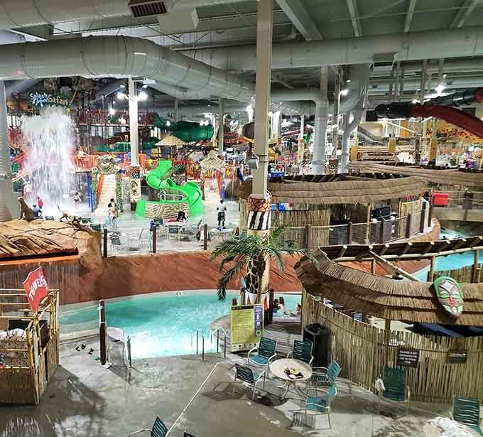 African adventure meets climate control in this sprawling indoor oasis where palm trees never worry about frost warnings.