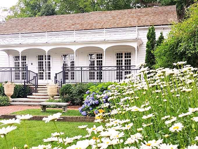 White daisies frame this elegant garden house like nature's own welcome committee, blooming with New England charm.