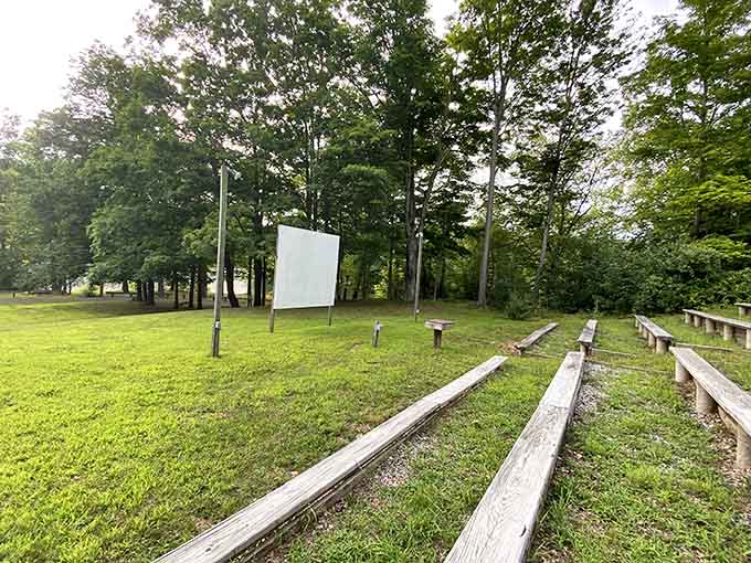 An outdoor amphitheater where the entertainment is provided by crickets, birds, and the occasional philosophical squirrel.