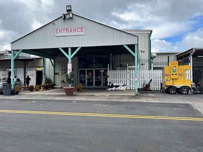 Step through these doors and leave your preconceptions about flea markets behind; this is where the magic happens.