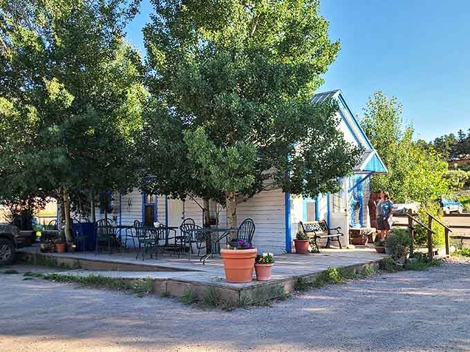 This charming cottage proves that historic buildings can rock turquoise trim without looking like they're having a midlife crisis.