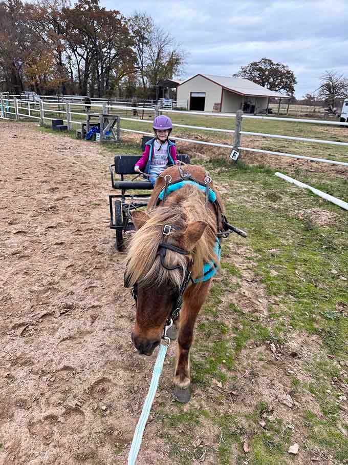 Nothing says "living your best life" quite like a leisurely carriage ride through East Texas countryside.