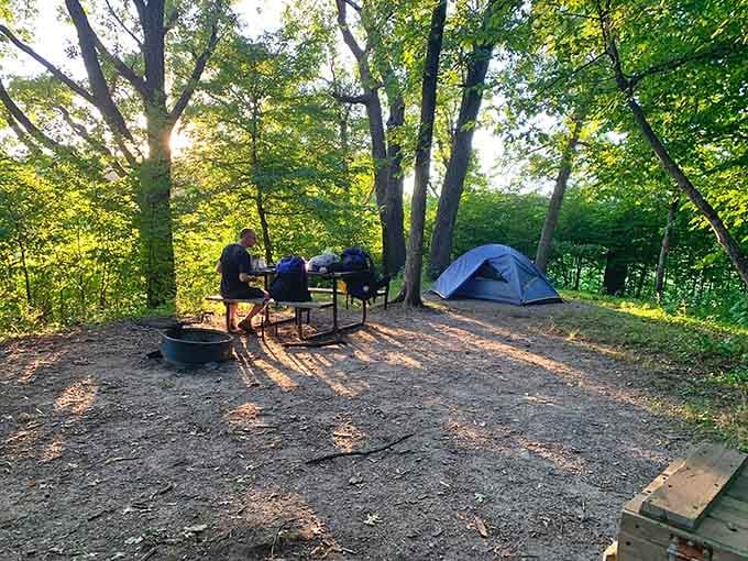 Your campsite neighbors are trees, which means no loud music, no drama, just peaceful evening shadows.