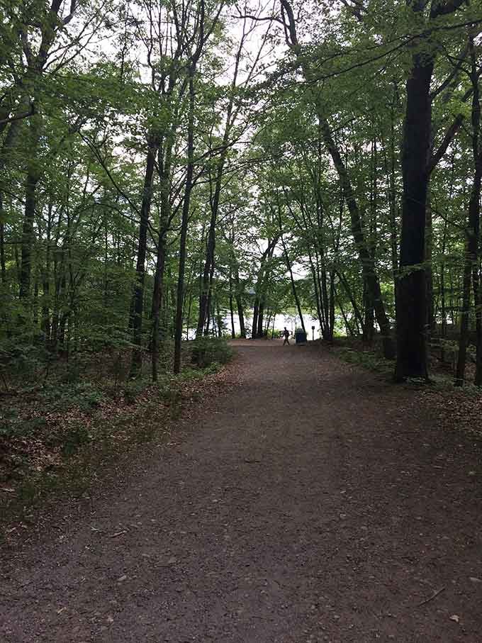 Wide, welcoming paths like this prove hiking doesn't require suffering to be worthwhile and beautiful.