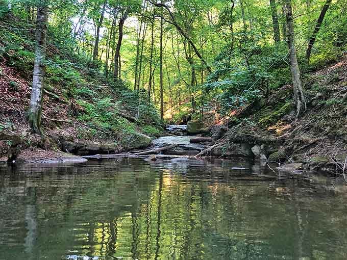 Where tributaries meet tranquility, and the forest keeps secrets better than your best friend.