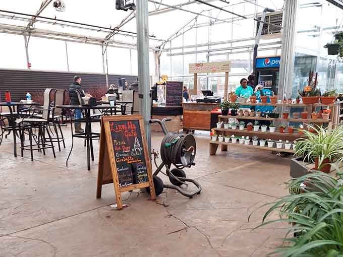 Inside the greenhouse-style seating area where you can enjoy treats surrounded by plants and natural light year-round.