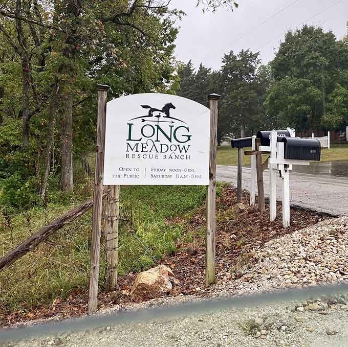 This welcoming sign promises Friday and Saturday visits, which gives you all week to practice your animal sounds.