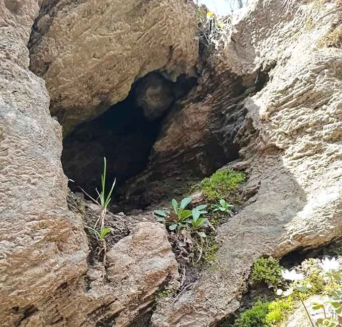 Doty Cave whispers ancient secrets through limestone lips, inviting the curious to peek into earth's mysterious depths.