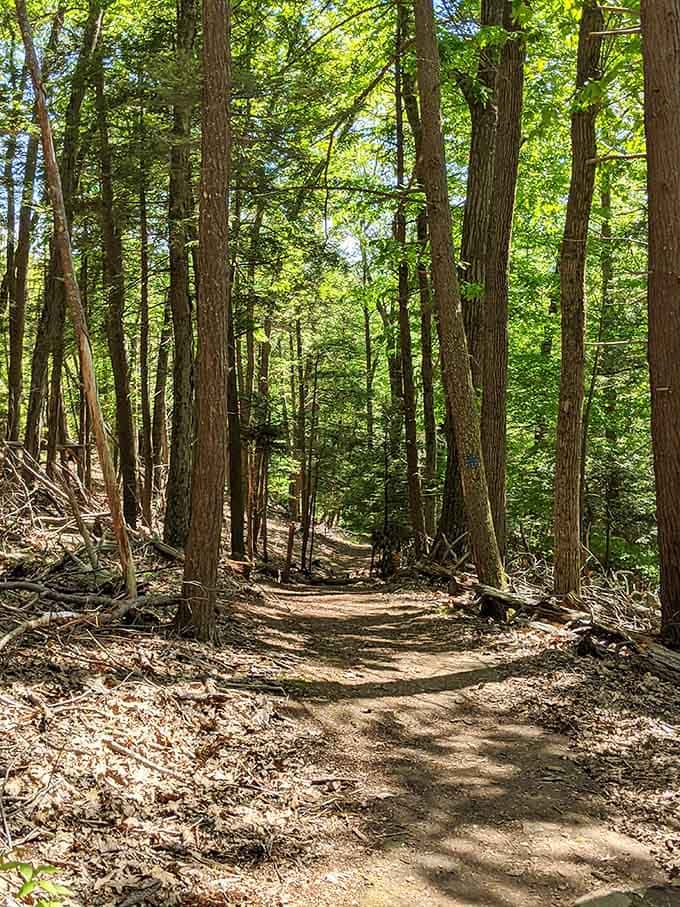 These woodland trails offer more interesting smells per square foot than your dog ever dreamed possible.