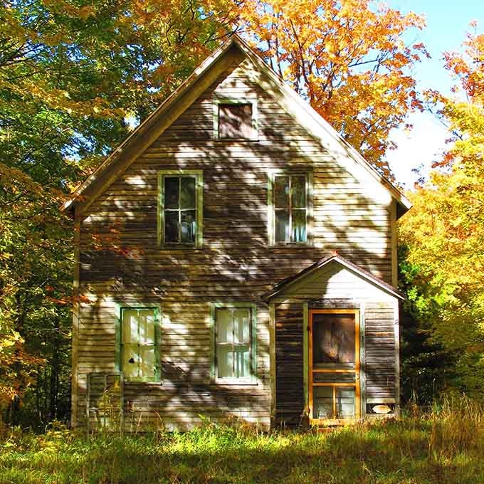 When your foundation outlasts everything else, you've either built really well or nature's just getting started with the demolition.