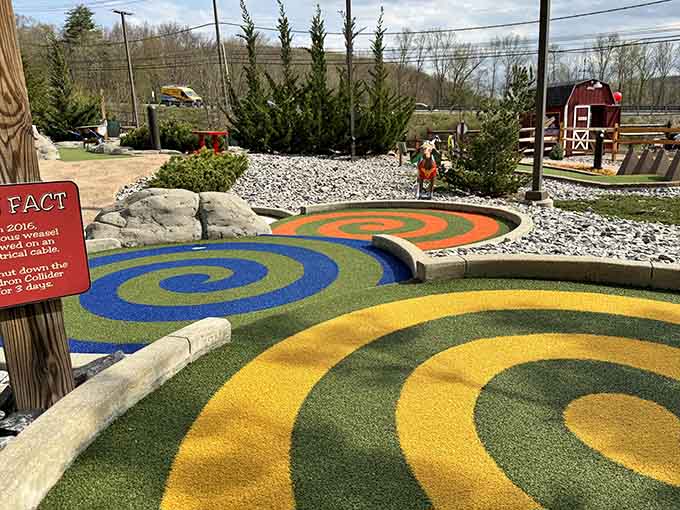 These rainbow spirals are so mesmerizing, you'll forget you're supposed to be keeping score.