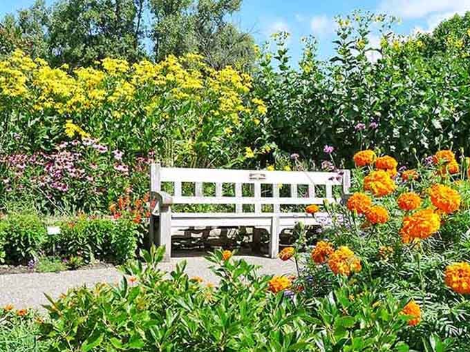That white bench isn't just furniture; it's a front-row ticket to nature's greatest show.