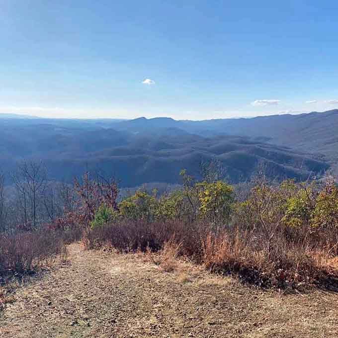 Layer upon layer of blue-ridged mountains stretching to infinity, proving Virginia's been hiding serious scenery all along.