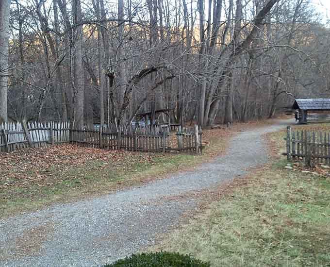 Bare branches reveal the farm's bones, a stark beauty that would make even Ansel Adams reach for his camera.