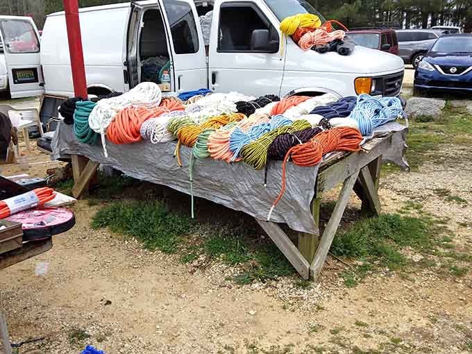 Rainbow-hued ropes coiled like candy at a country store, ready for whatever project you've been putting off.