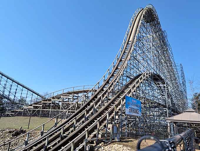 This giant roller coaster towers over everything like it's auditioning for a role in your most thrilling dreams.