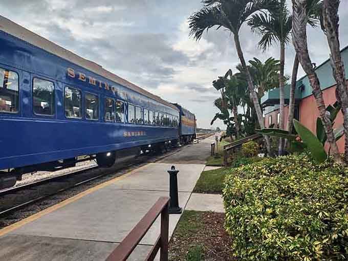 The Seminole Gulf Railway cars gleam against palm trees, promising an evening that's pure vintage Florida charm.
