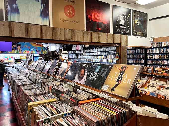 Rows of vinyl stretch like a delicious buffet where every bin promises another discovery you didn't know you needed.