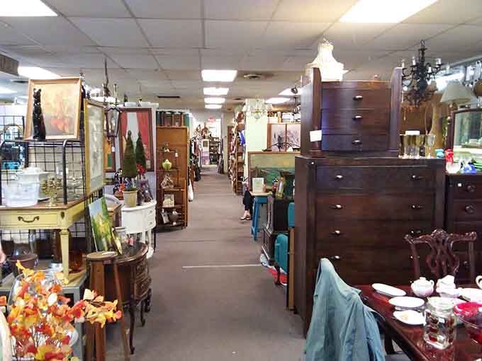 Rows of vintage treasures stretch endlessly, making every visit feel like Christmas morning for grown-ups.