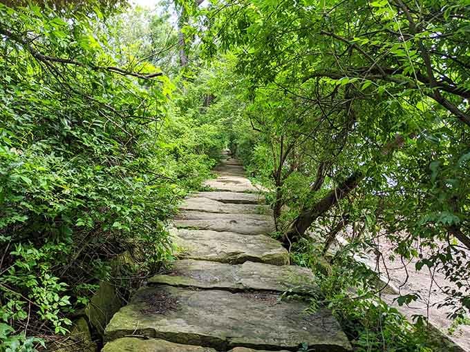 The tree-lined path to paradise, where anticipation builds with every step toward that Lake Erie shoreline.
