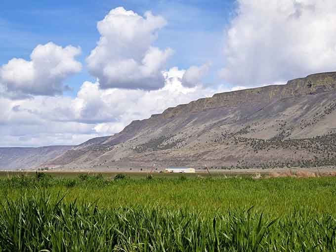 Where volcanic cliffs meet emerald fields, Oregon's hidden outback reveals its dramatic split personality in spectacular fashion.