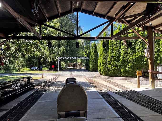 From the engineer's perspective, the tracks stretch ahead through towering Pacific Northwest trees toward adventure.