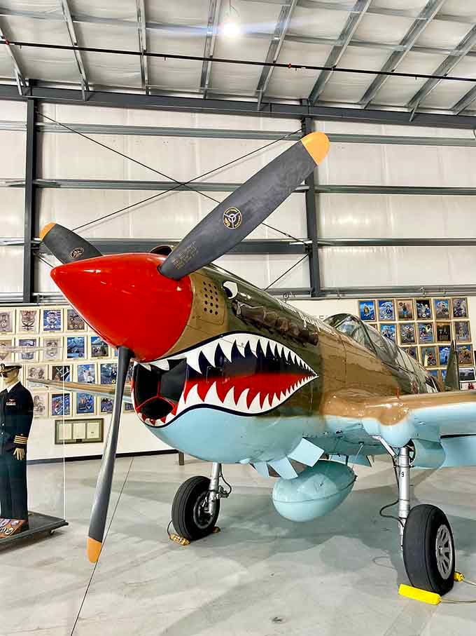 That shark-toothed grin has been intimidating people since the 1940s, and honestly, it still works beautifully today.