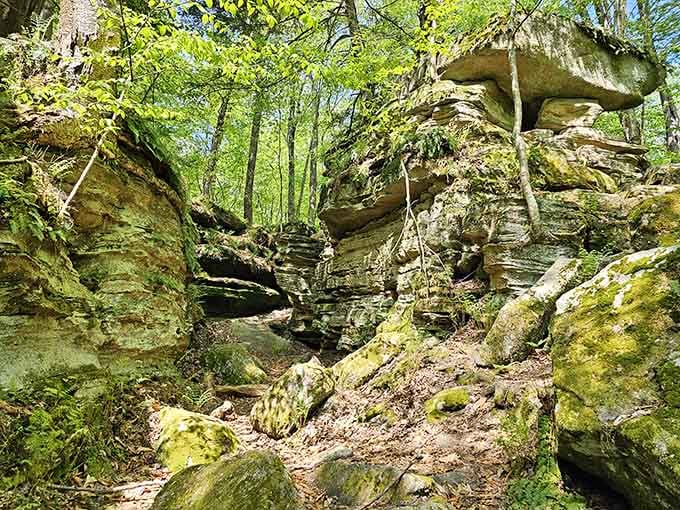 These towering formations have been standing here since before your ancestors invented complaining about the weather, and they're not going anywhere.