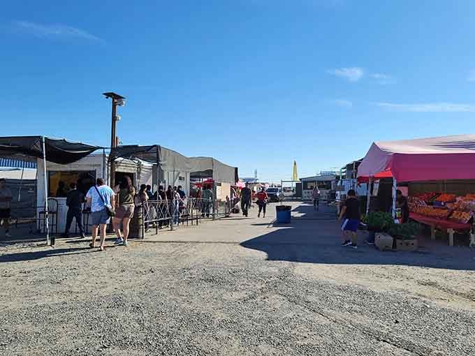 Wide aisles stretch toward the horizon, inviting you to explore this sprawling marketplace of weekend wonders.