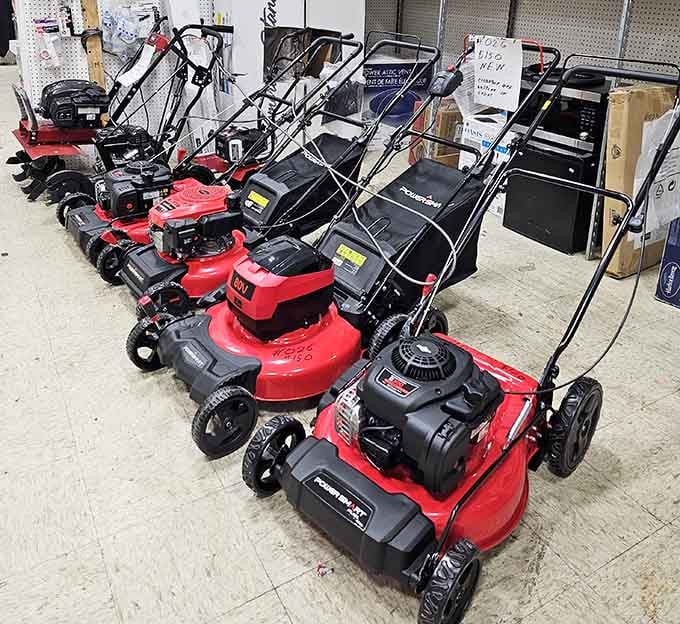 A lineup of lawn mowers ready to tackle yards, because even grass-cutting equipment deserves a second chance.