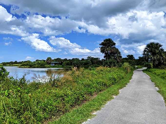 The paved trail winds alongside the lagoon where every turn promises another feathered surprise worth stopping for.