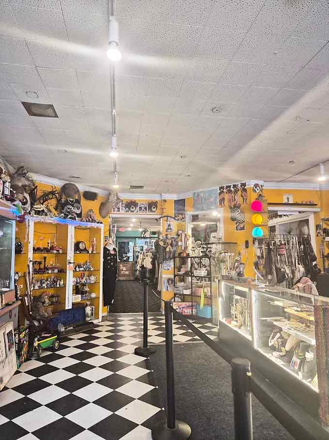 Step inside and prepare for sensory overload: vintage treasures displayed with museum-quality care and thrift-store accessibility.