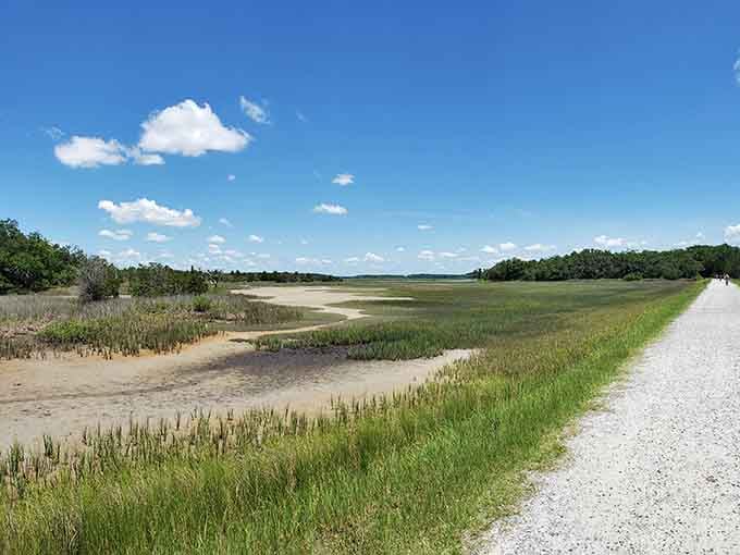 The salt marsh stretches endlessly like a watercolor painting, proving Mother Nature never needs a second draft.