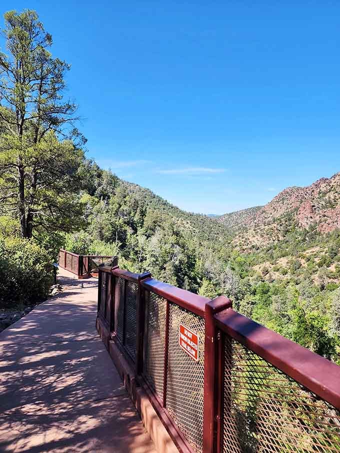 Rolling hills dressed in ponderosa pines prove Arizona has more wardrobe changes than most people realize.