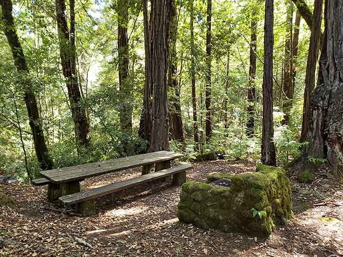 The perfect spot for lunch, assuming you remembered to pack something besides good intentions and trail mix.