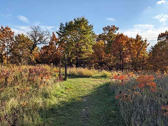 Fall colors frame the trail like nature's own gallery opening, minus the pretentious wine and cheese.