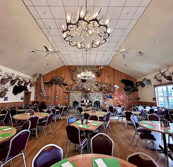 Welcome to the most spectacular hunting lodge you never knew existed, where every wall tells a thousand stories.