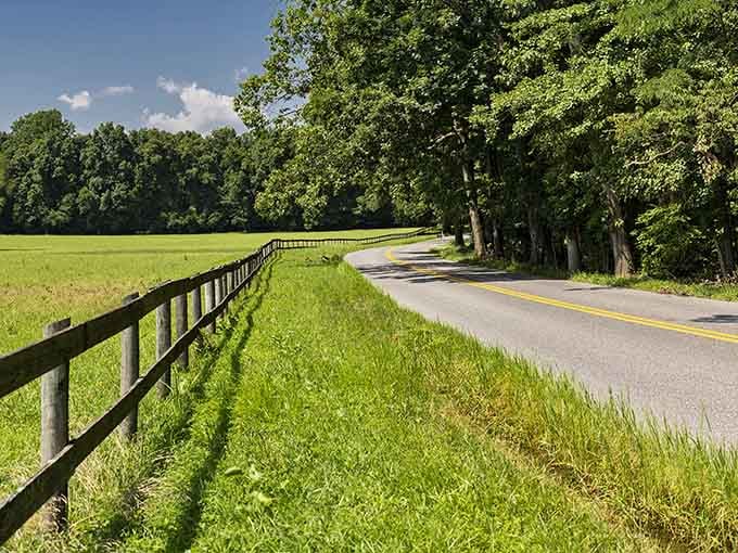 Country roads where the only traffic jam involves waiting for a tractor, and nobody minds one bit.