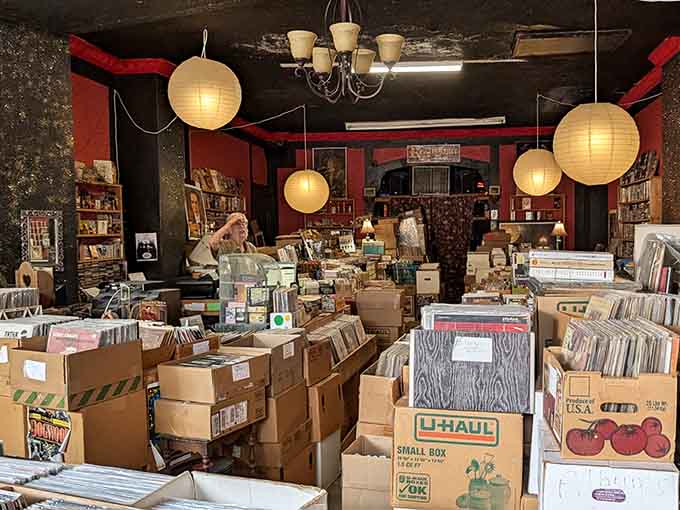 Welcome to organized chaos at its finest, where paper lanterns illuminate your quest for vinyl gold among endless treasures.
