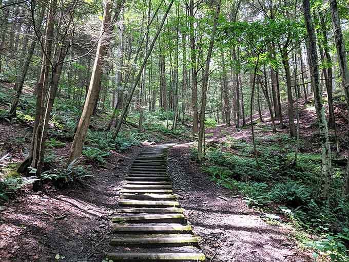 These stone steps lead you deeper into the gorge, where each turn reveals another waterfall like nature's version of a surprise party.