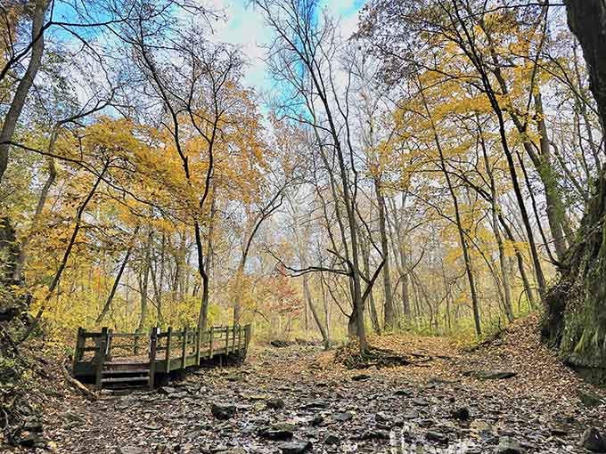 When fall decides to show off, Rock Bridge becomes the kind of canvas artists dream about.