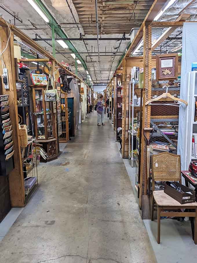 These endless aisles stretch like a treasure hunter's dream, where every turn promises something you didn't know you absolutely needed.