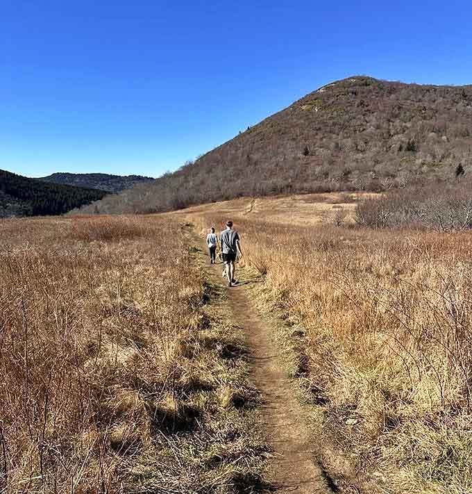 The trail stretches ahead through golden grasses, inviting you into a landscape that feels wonderfully untamed and free.