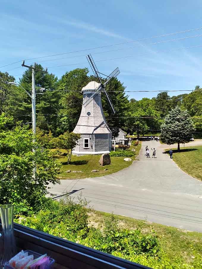This working windmill has been grinding corn since your ancestors were figuring out how to survive without smartphones or decent coffee.