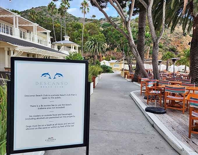 Descanso Beach Club proves that paradise doesn't require a passport, just a short walk from downtown Avalon.