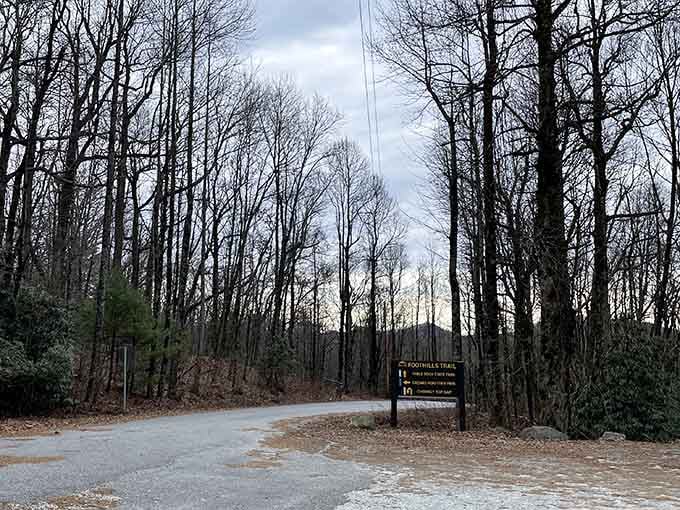 When the trail sign appears, you know you're entering territory where elevation becomes your new best friend.